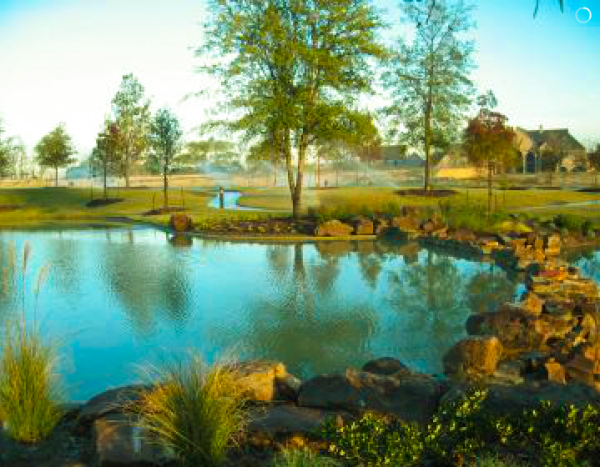 Gallery - Site Landscaping Development