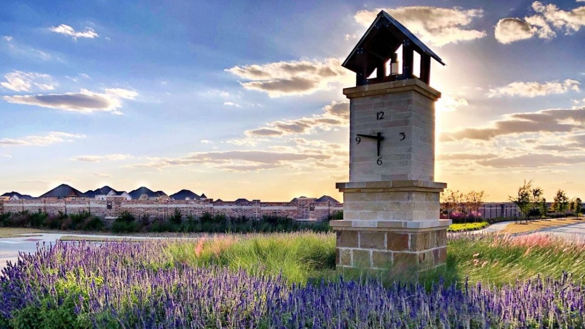 Gallery - Site Landscaping Development