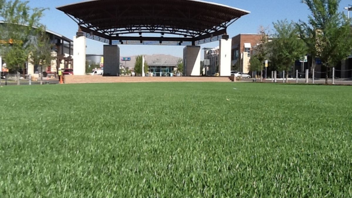 Gallery - Site Landscaping Development