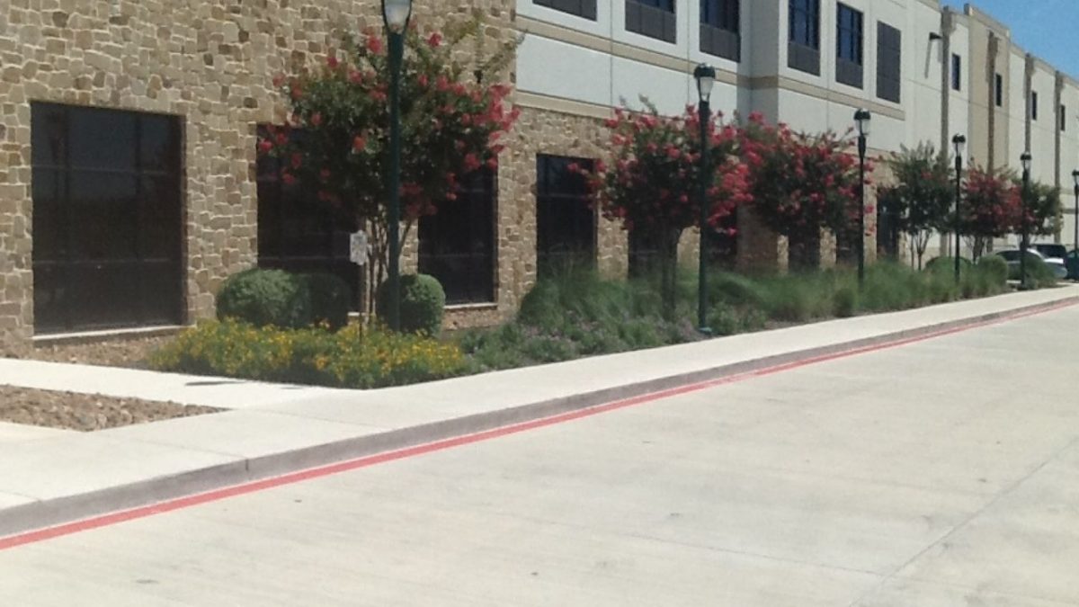 Gallery - Site Landscaping Development