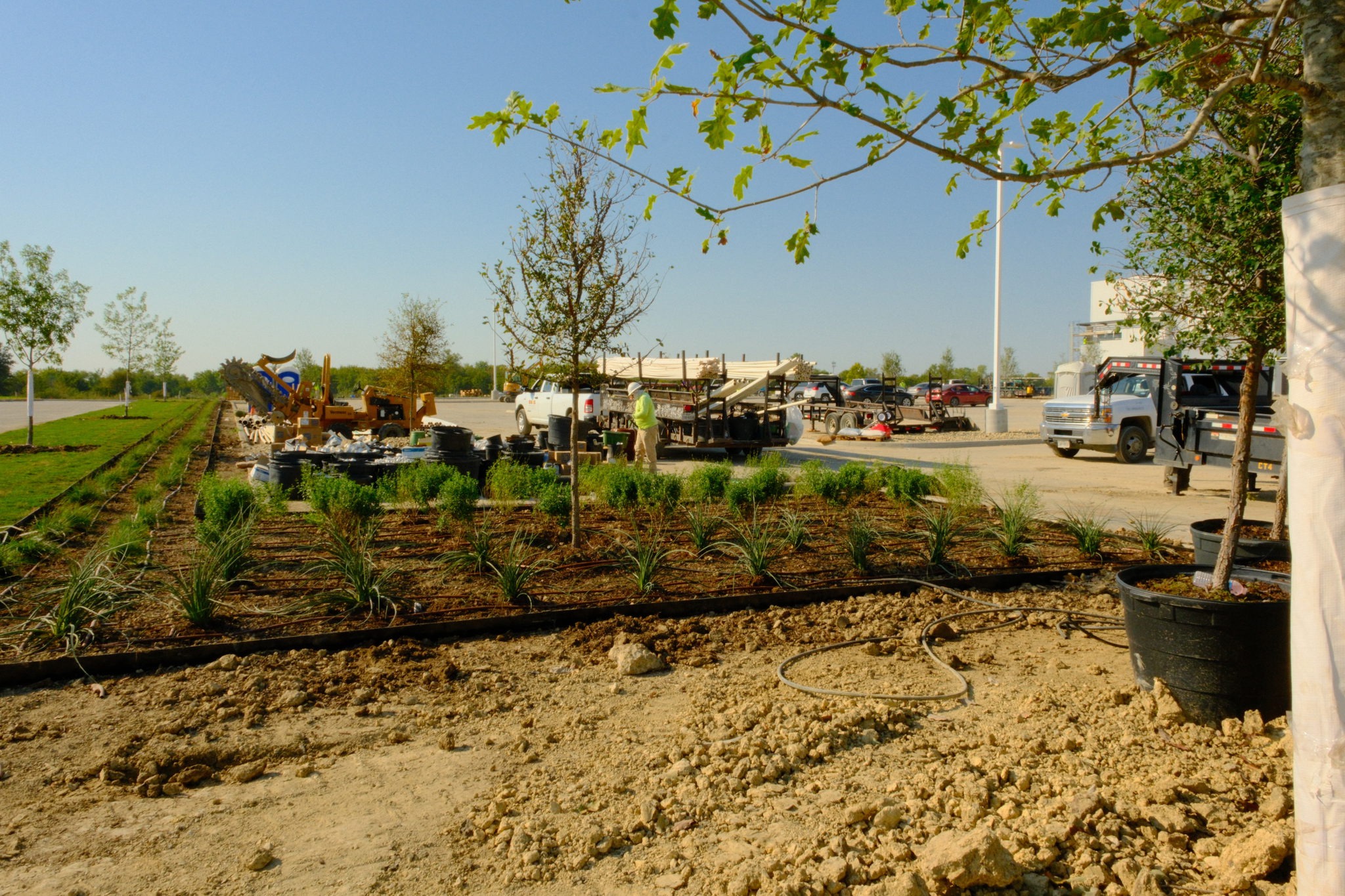 Commercial Landscaping DFW | Site Landscape Development