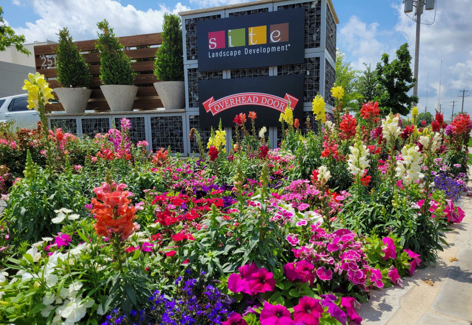 Commercial Landscaping DFW | Site Landscape Development