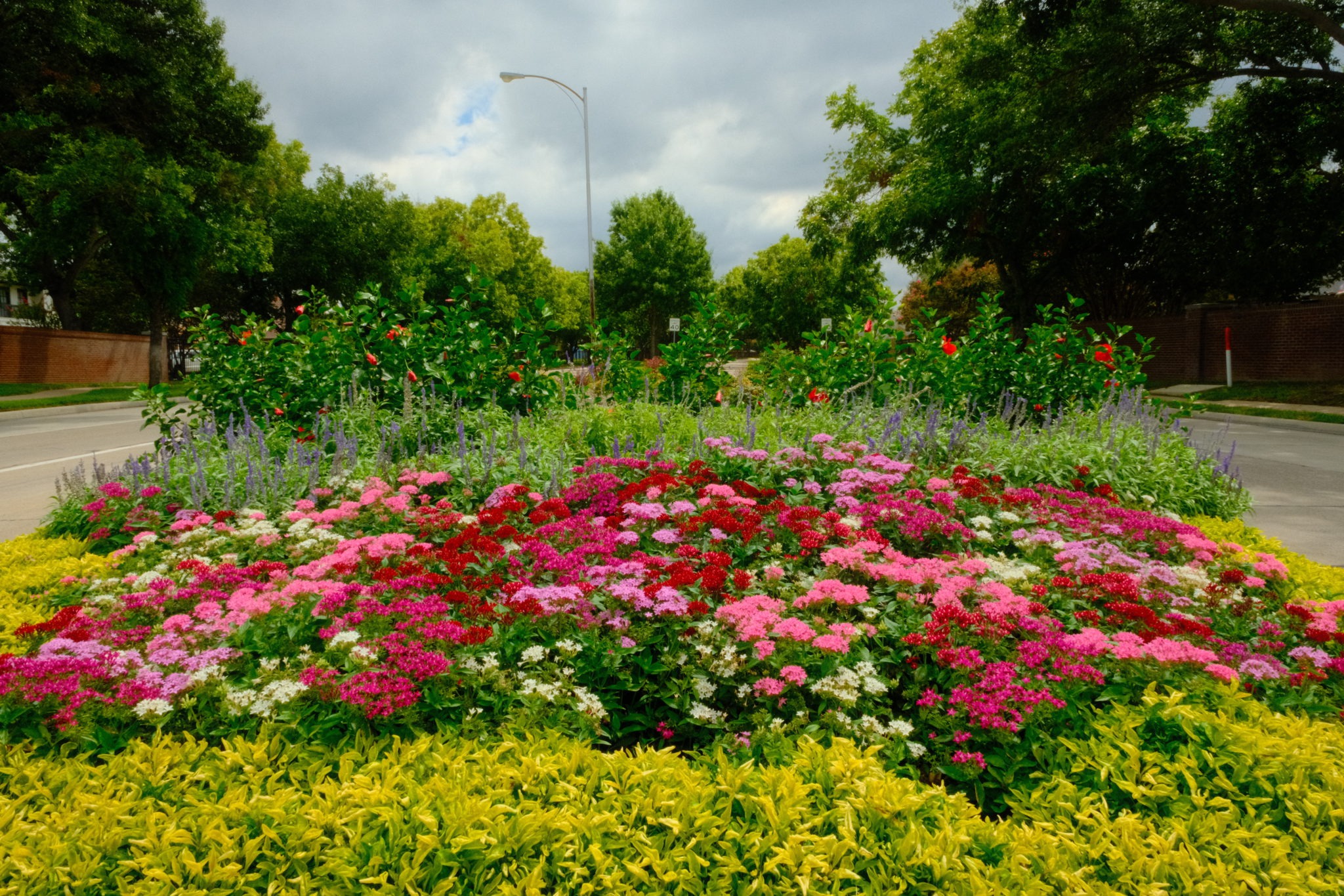 Commercial Landscaping DFW | Site Landscape Development